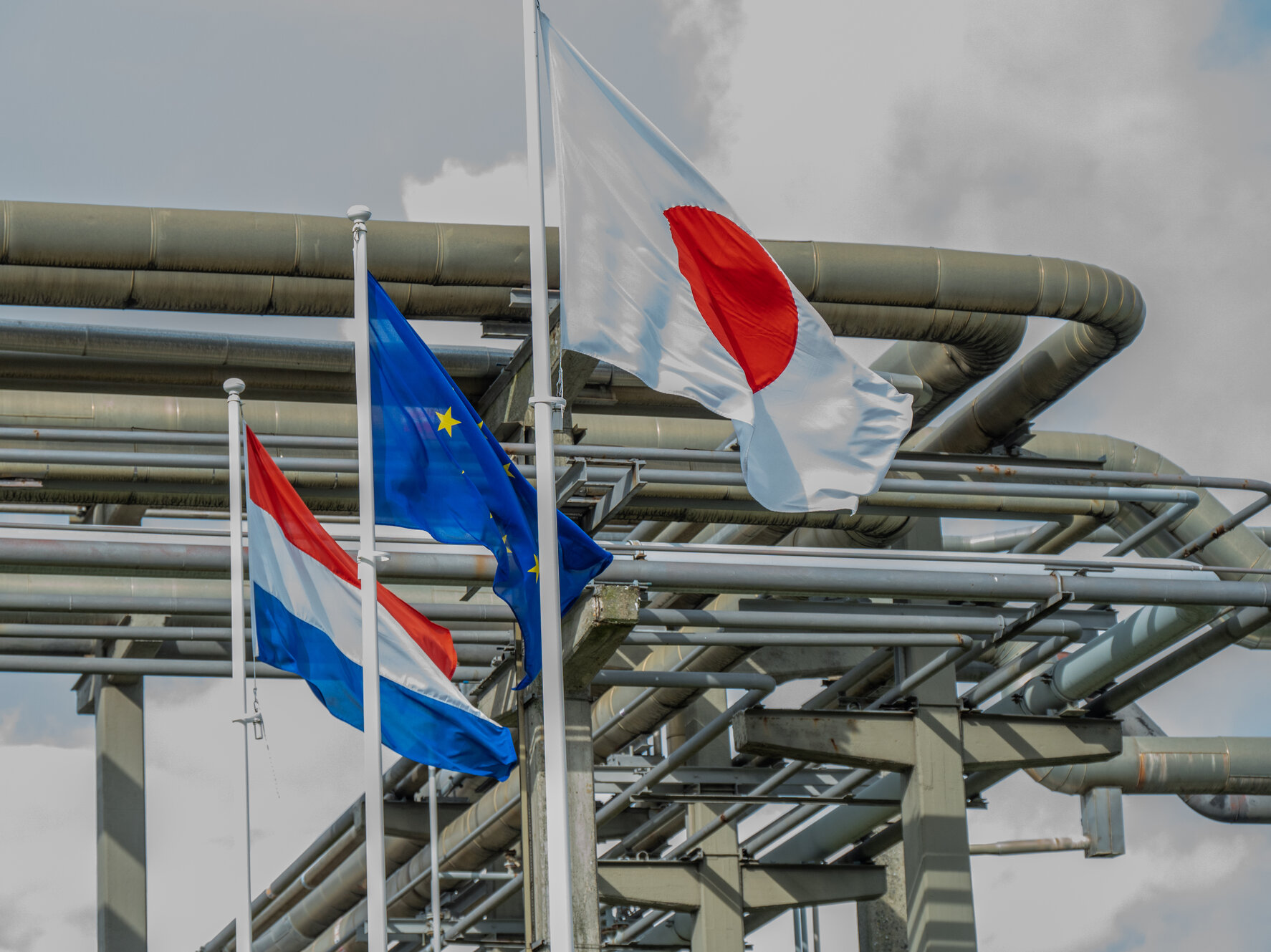 Embracing cultural diversity at SEKISUI